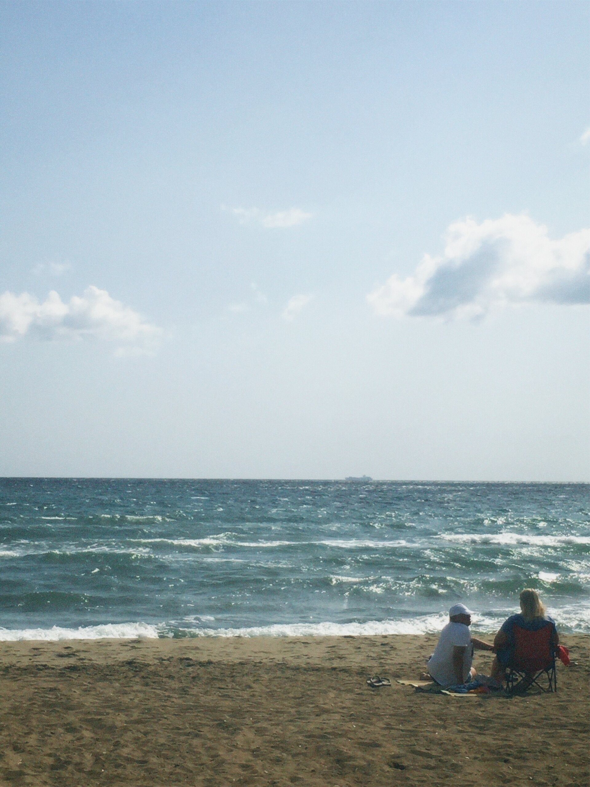 Relaxing with a Capybara in a Hot Tub - Baby Capybara