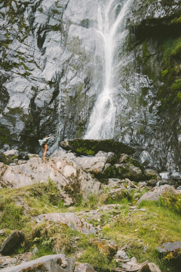 The Mystery of Why Crocs Don't Eat Capybaras - Baby Capybara