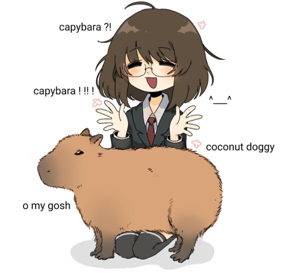 The origins of the capybara meme - Baby Capybara
