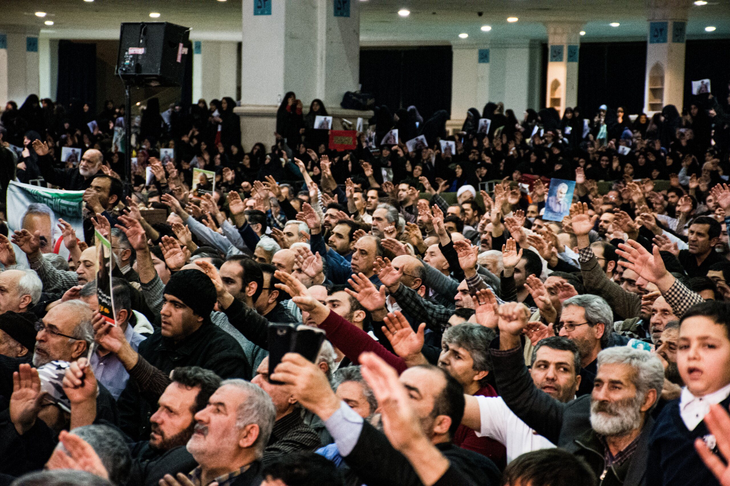 The Capybara Show - Baby Capybara