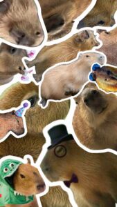 Understanding Capybara Behavior: Attacks on Humans - Baby Capybara