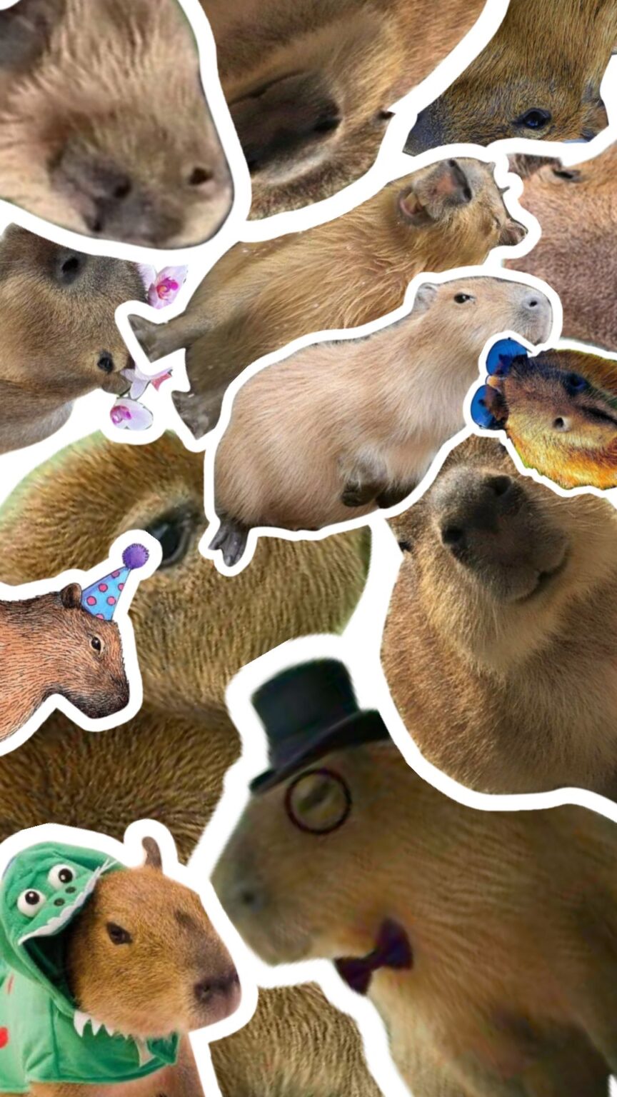 Understanding Capybara Behavior: Attacks on Humans - Baby Capybara