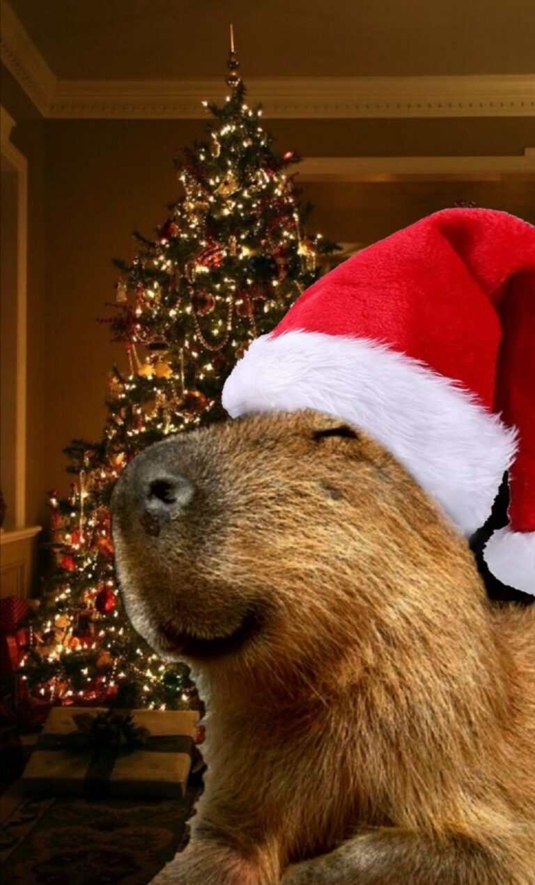 Cute Capybara Wallpaper 4K for Iphone, Ipad, Laptop, PC - Baby Capybara