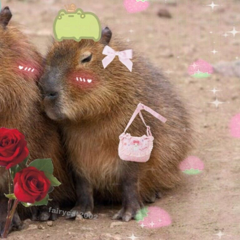 Capybaras: The Friendly Animal - Baby Capybara