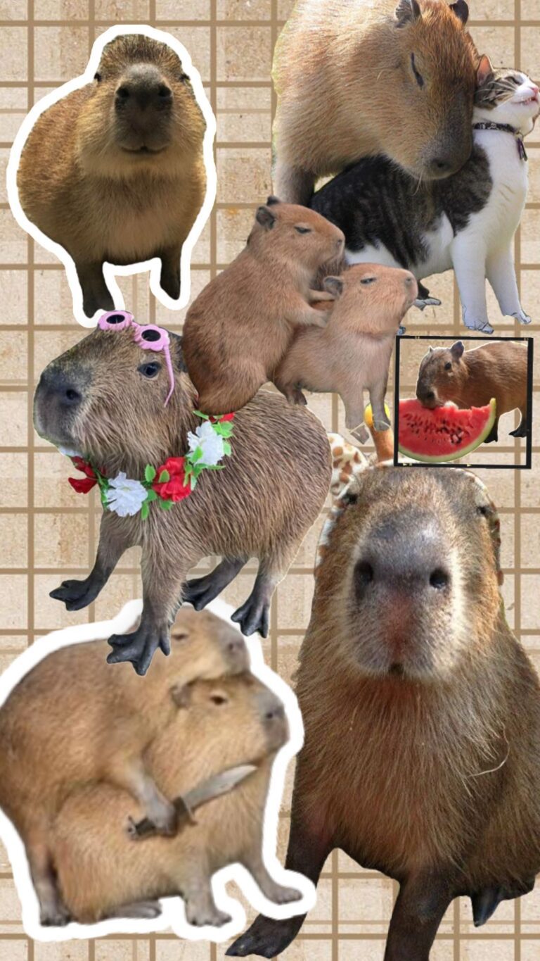 Cute Capybara Wallpaper 4K for Iphone, Ipad, Laptop, PC - Baby Capybara