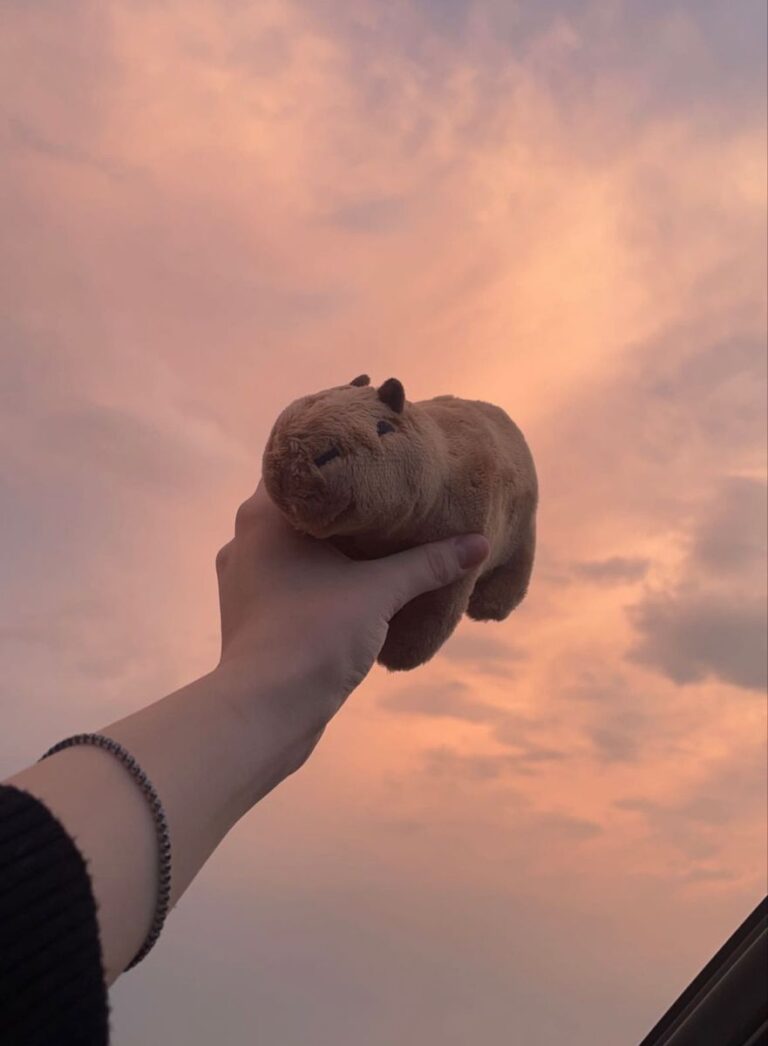 Cute Capybara Wallpaper 4K for Iphone, Ipad, Laptop, PC - Baby Capybara